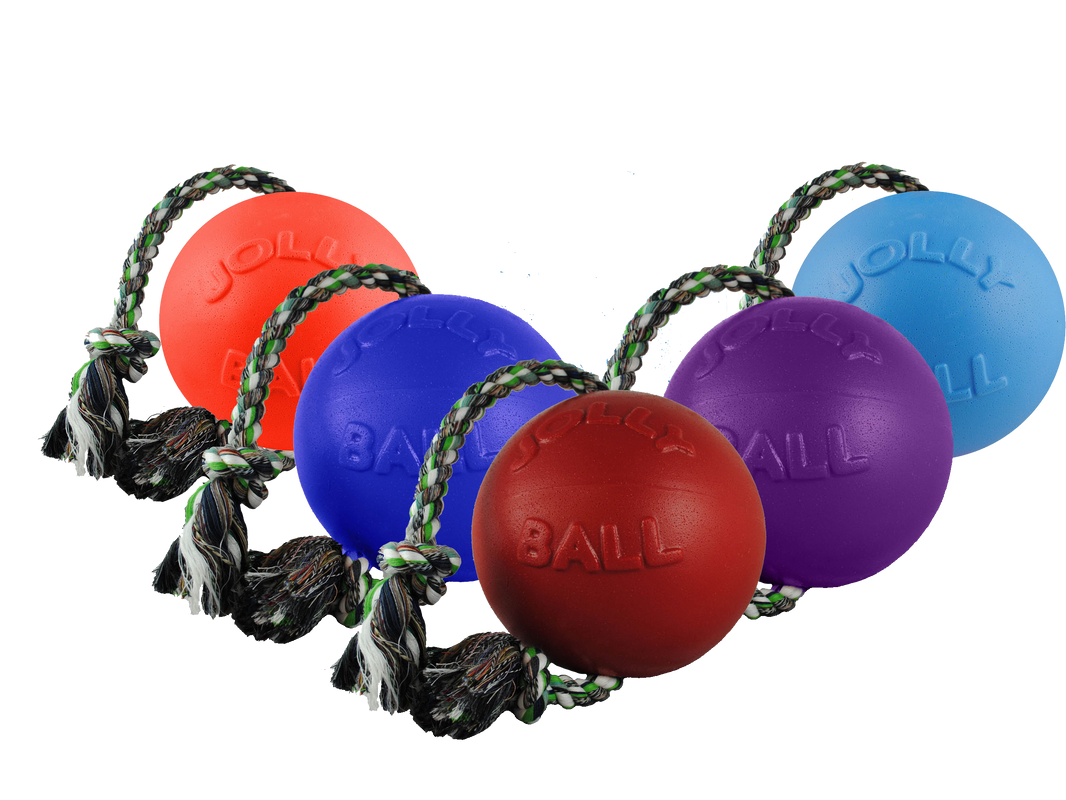 Unleash Joy with Jolly Pets Premium Dog Toys! – Jolly Pets UK